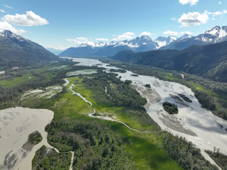 American Bald Eagle Foundation Joins Fight To Protect Chilkat Valley Watershed From Mining