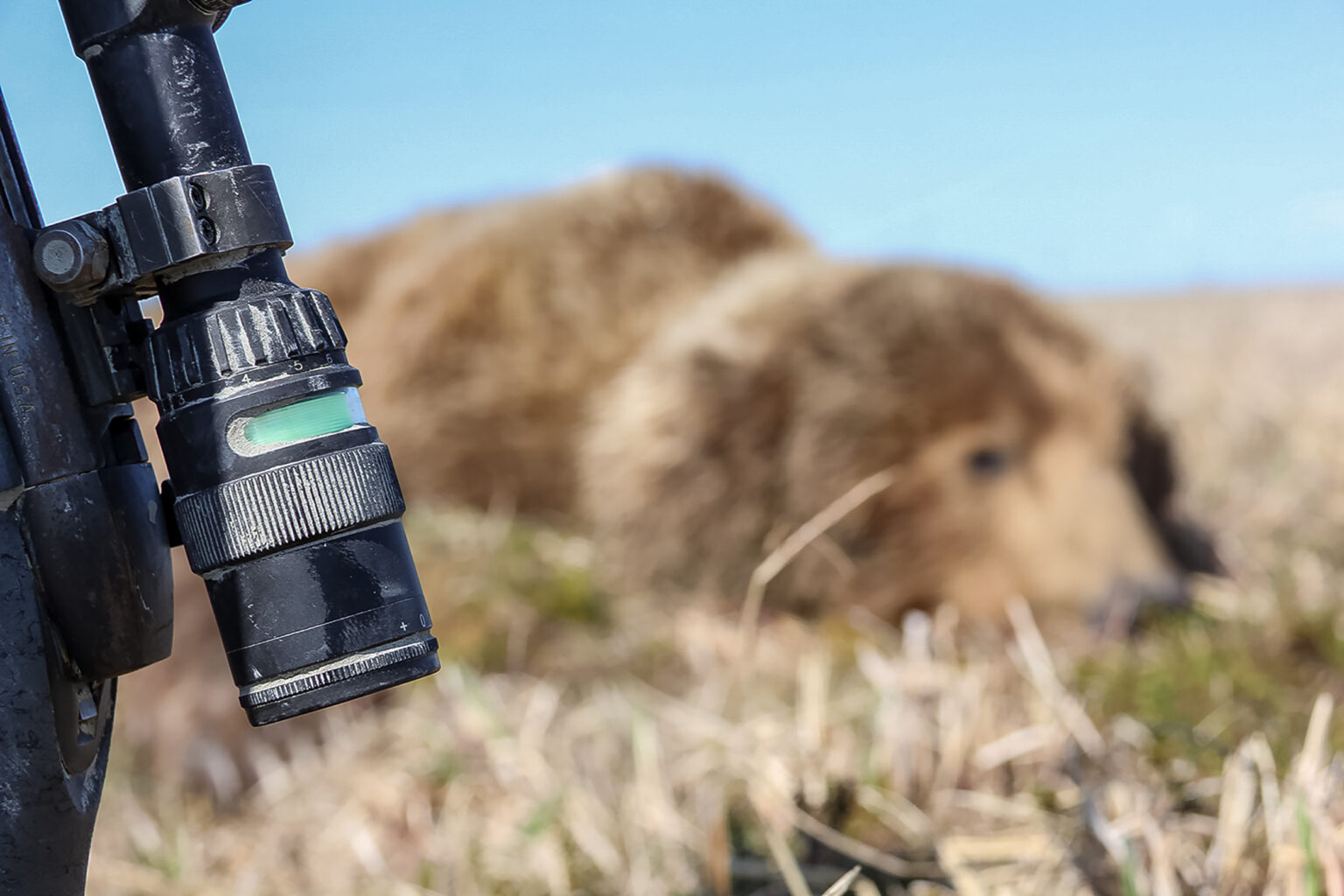 A Hunter's Top 8 Calibers To Score Alaska Big Game