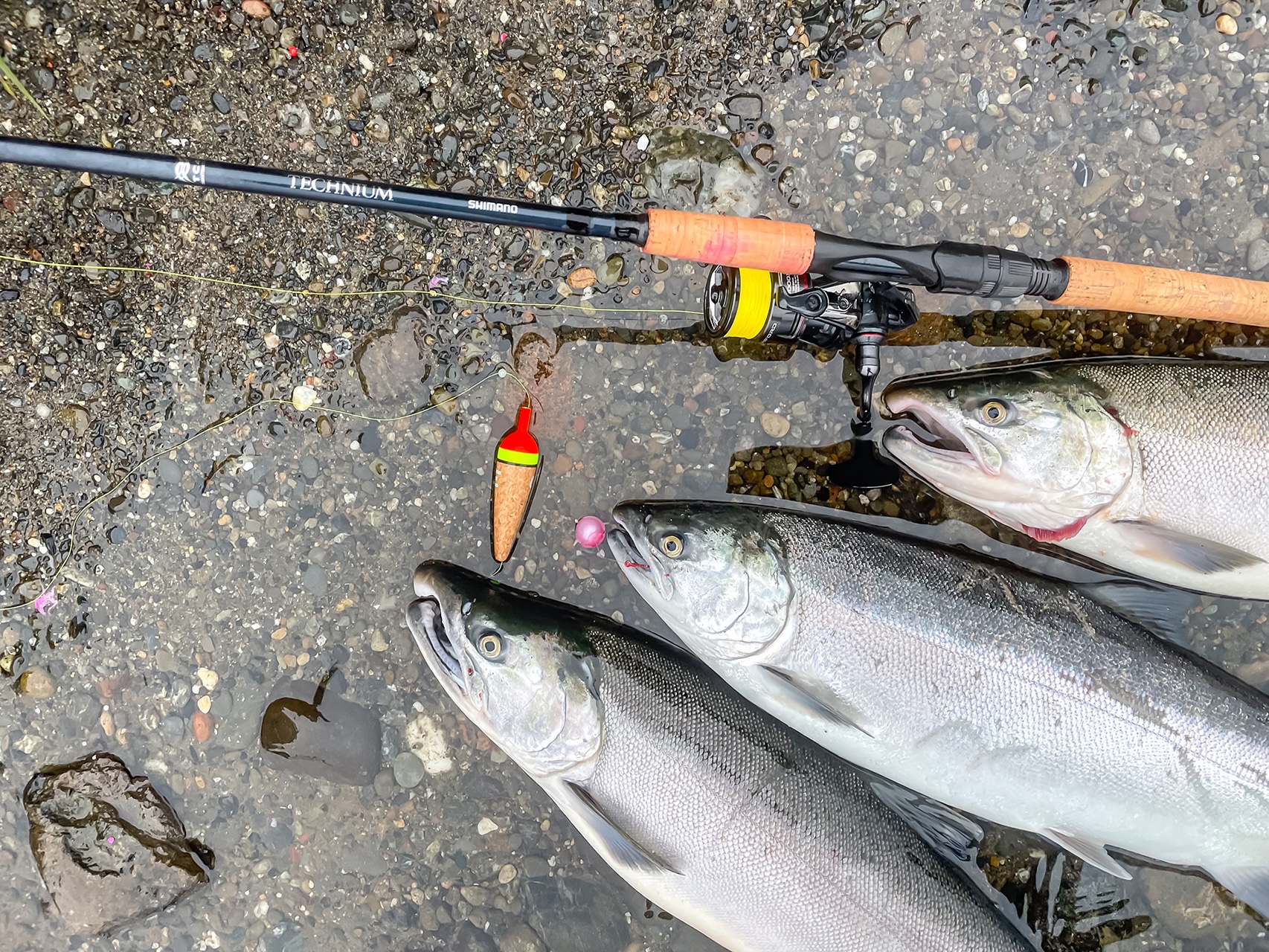 Comment Period Open For State's 2026 Sport Fish Stocking Plan