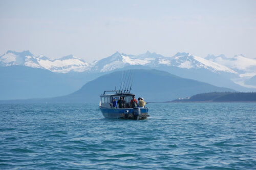 NOAA Announces New Stamp Requirements For Anglers Targeting Halibut On ...